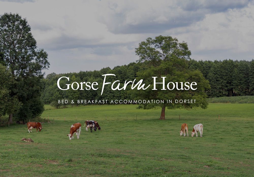 Gorse Farm House B & B Case Study | Website Design, SEO